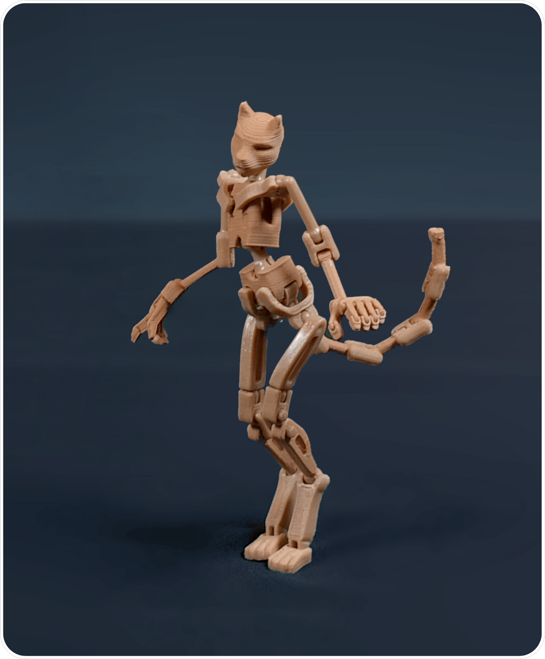 v.2024 BIPEDS – A9 Products